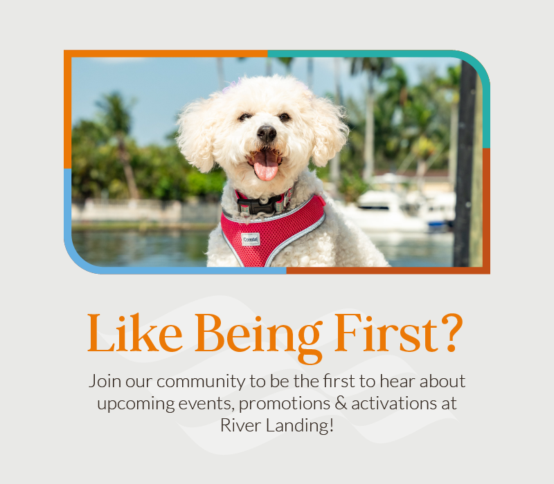 River Landing Shops & Residences Miami, FL